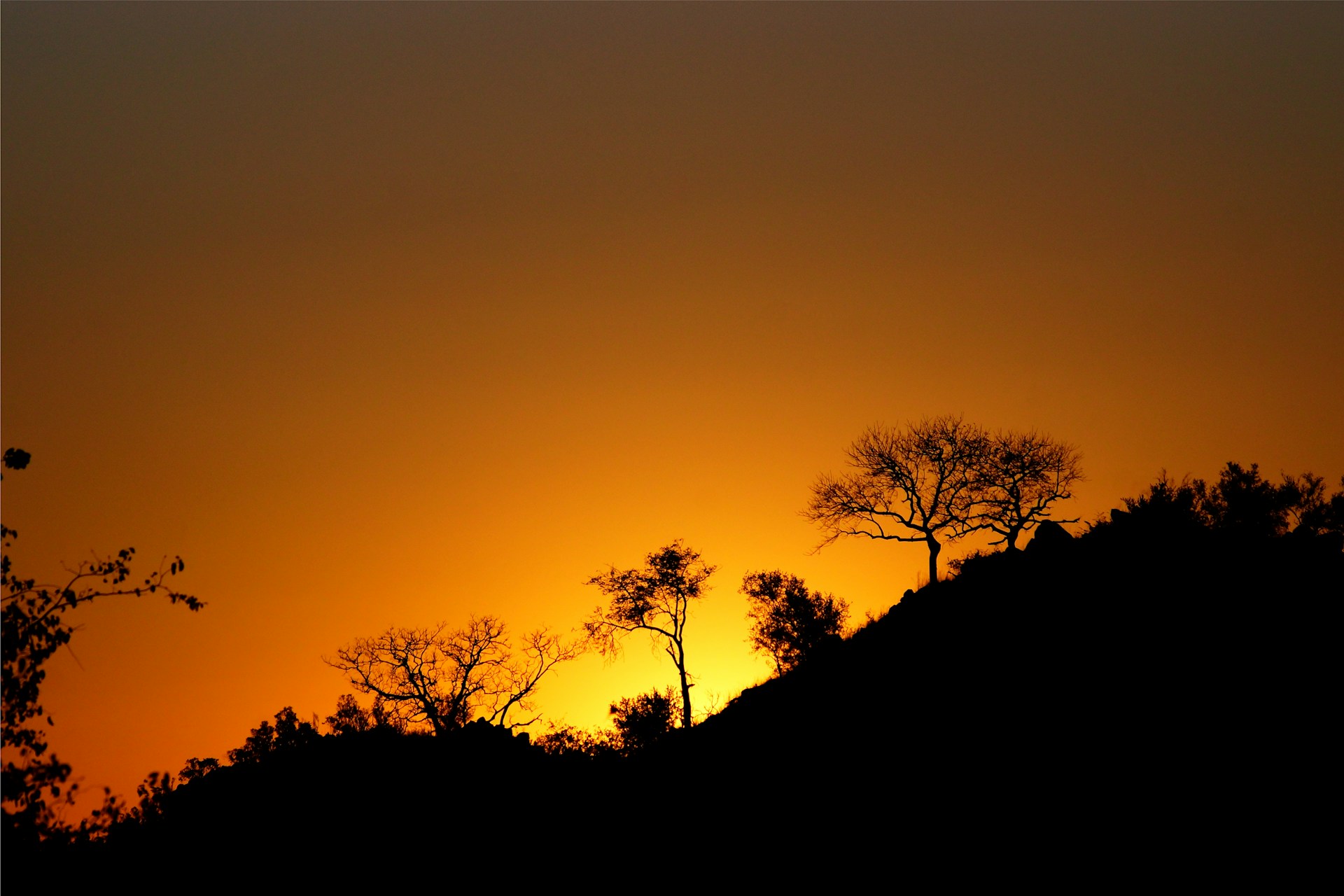 Malaria in Botswana: Do You Need Malaria Tablets?
